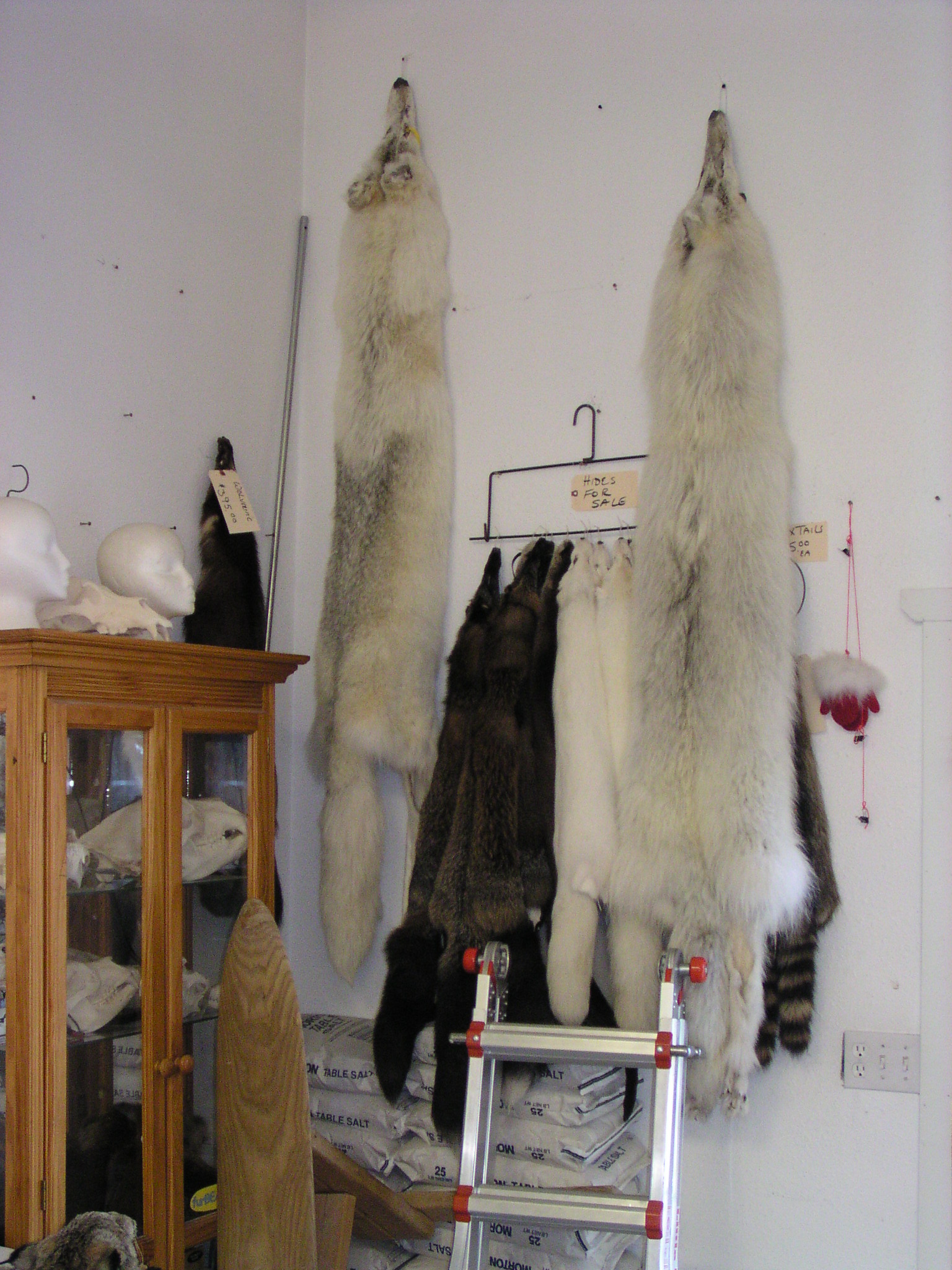 Furs / Hides for Sale - Alaska Precision Taxidermy